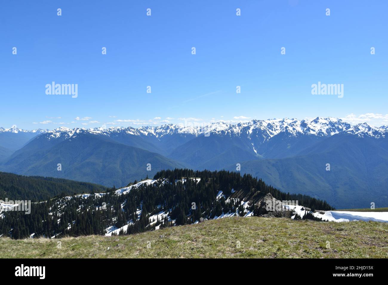 Hurricane Ridge atop Olympic National Park, Washington State, USA Stock ...