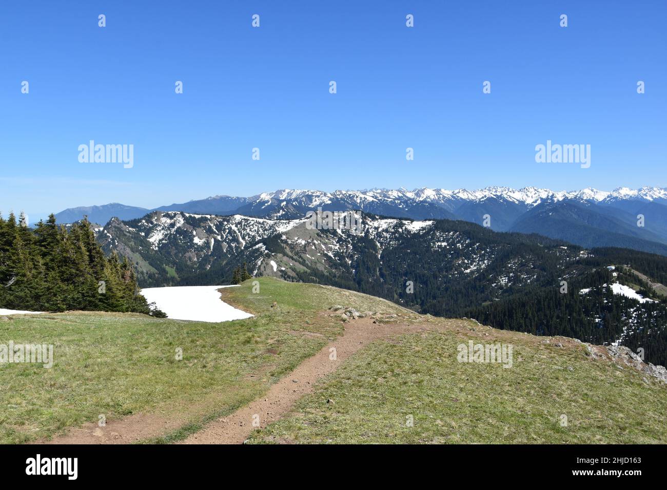 Hurricane Ridge atop Olympic National Park, Washington State, USA Stock ...