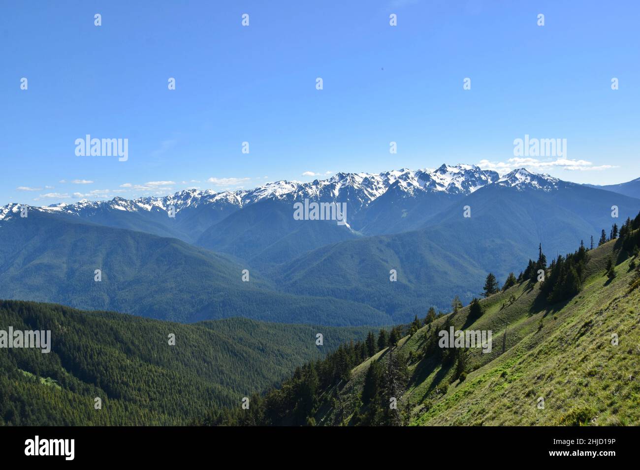 Hurricane Ridge atop Olympic National Park, Washington State, USA Stock ...