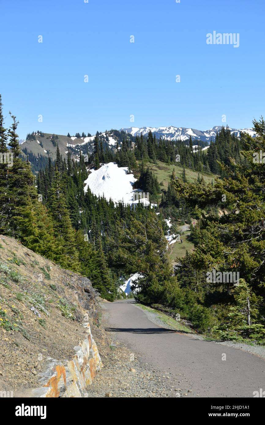Hurricane Ridge atop Olympic National Park, Washington State, USA Stock ...