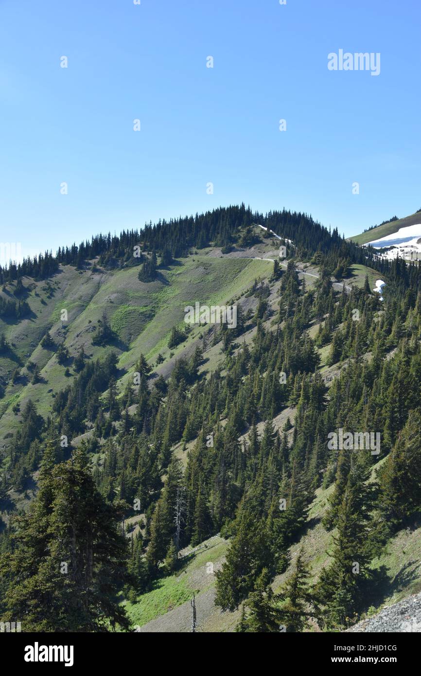Hurricane Ridge atop Olympic National Park, Washington State, USA Stock ...