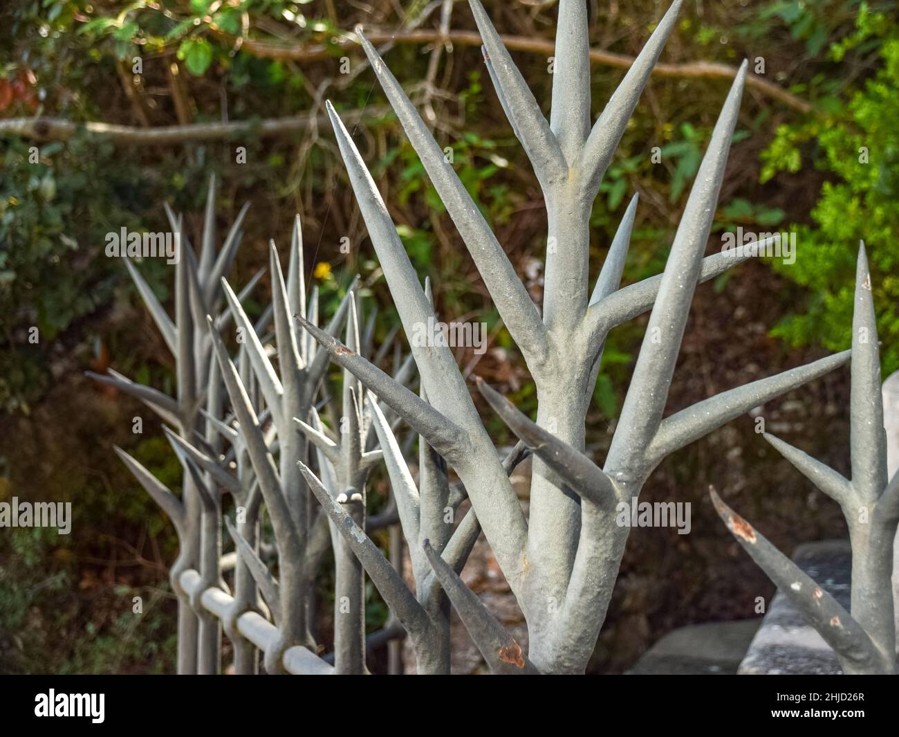 a photograph of an iron fence made of sharp spurs Stock Photo - Alamy
