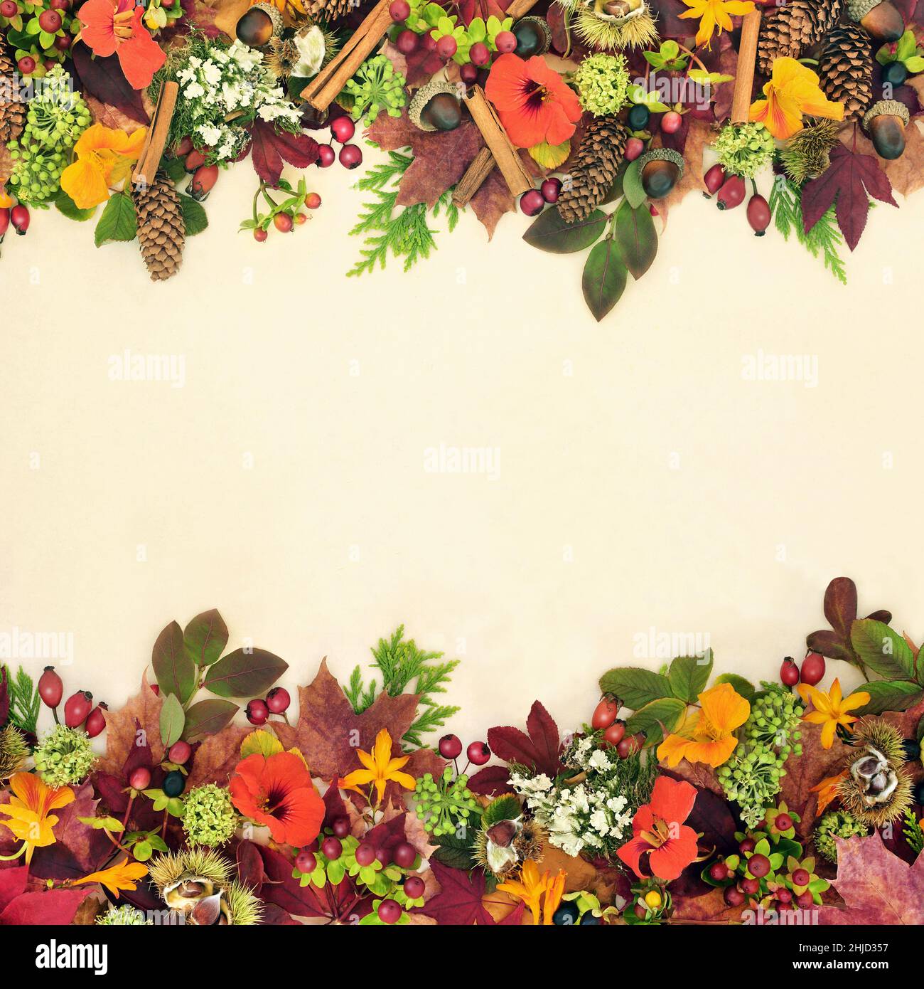 Harvest festival Thanksgiving and fall background border on hemp paper ...