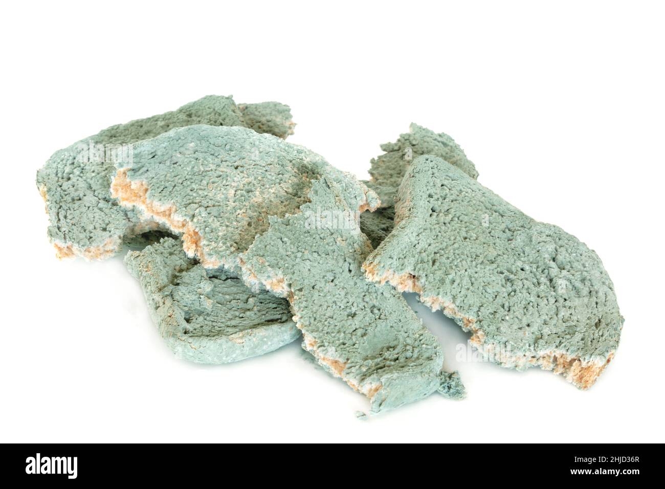 Mouldy bread slices unhygienic and dangerous to eat on white background ...