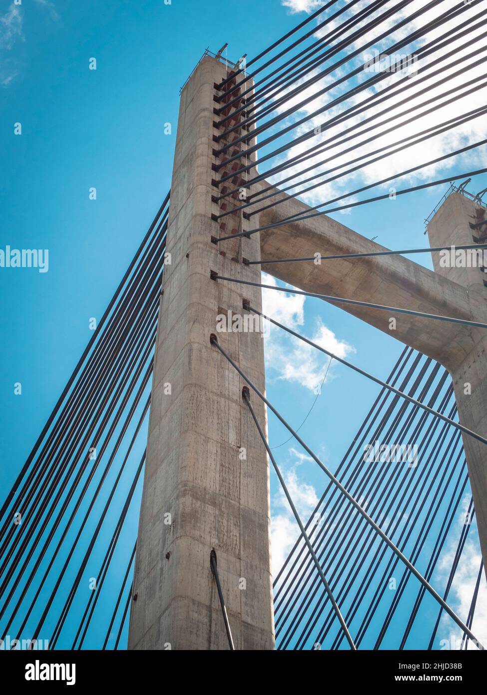 Detail of the steel cables and concrete tower of a cable-stayed bridge ...