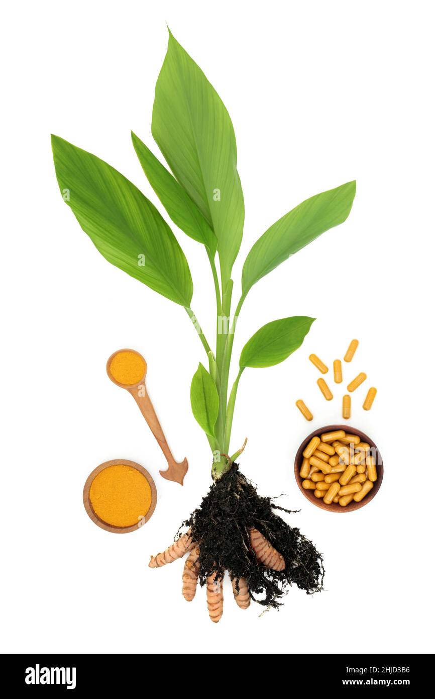 Root medicinal plant in Cut Out Stock Images & Pictures - Alamy