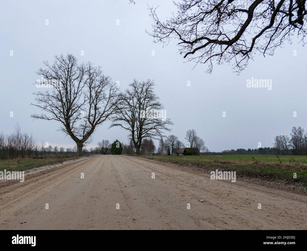 spring landscape with dirty and wet dirt road, rainy day Stock Photo ...