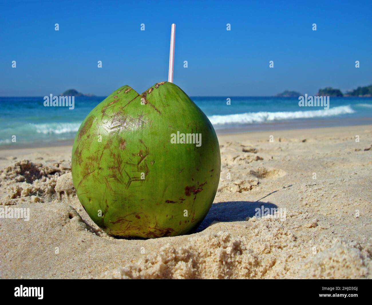 Fresh coconut in the beach, Rio Stock Photo - Alamy