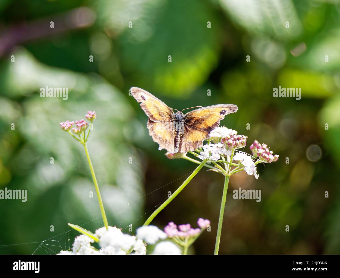 Parallel to camera hi-res stock photography and images - Alamy