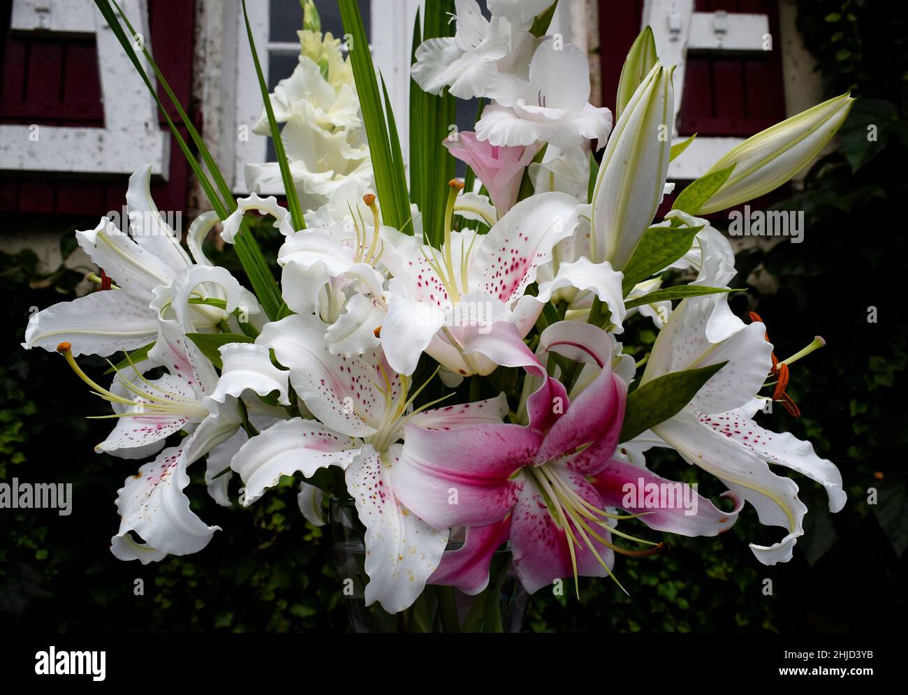 Bouquet de lys blancs et roses Stock Photo - Alamy