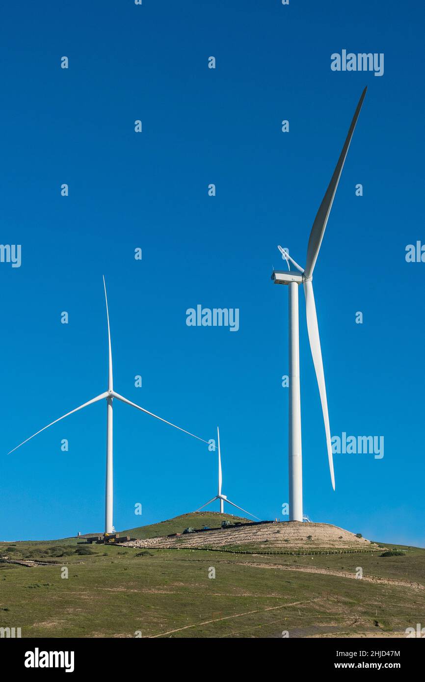 The Strauss Wind Energy Project located in Santa Barbara County close ...