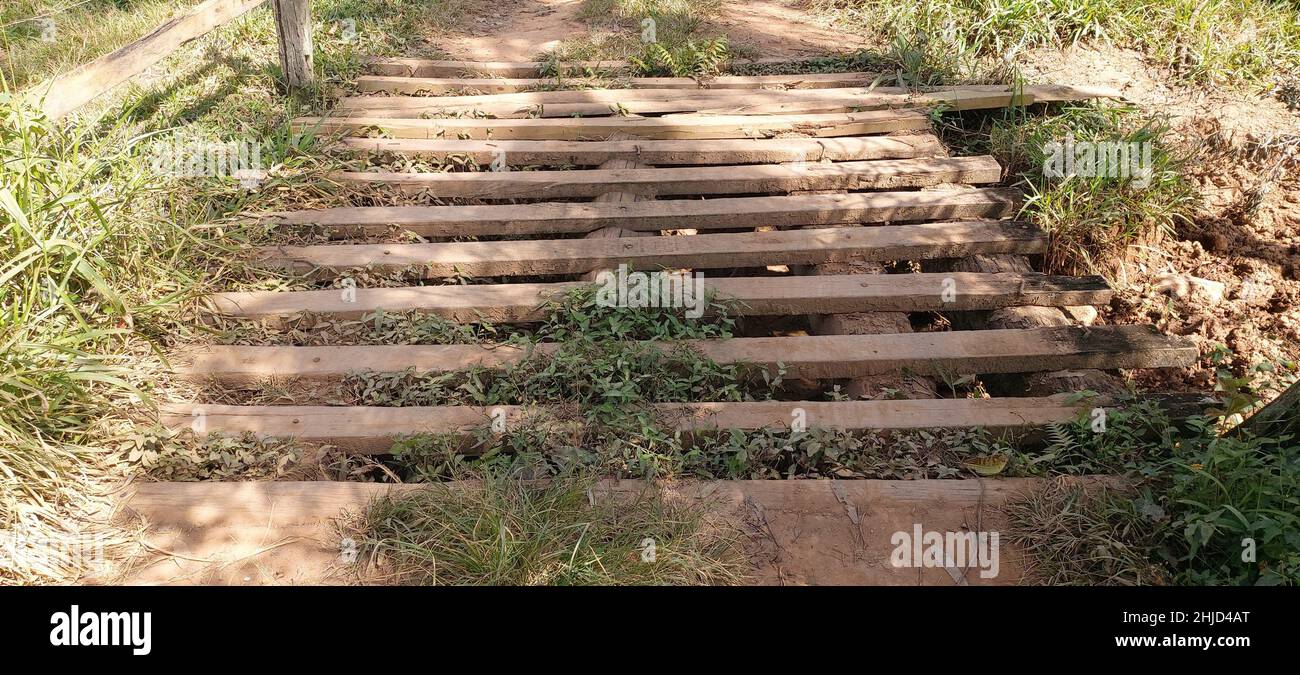 Cattle grid forest hi-res stock photography and images - Alamy