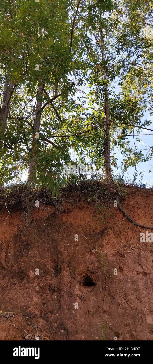 Erosion forest brazil hi-res stock photography and images - Alamy
