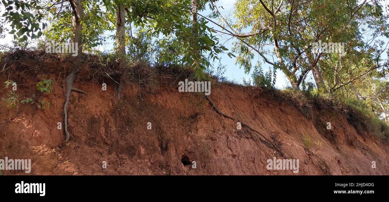 Erosion forest brazil hi-res stock photography and images - Alamy