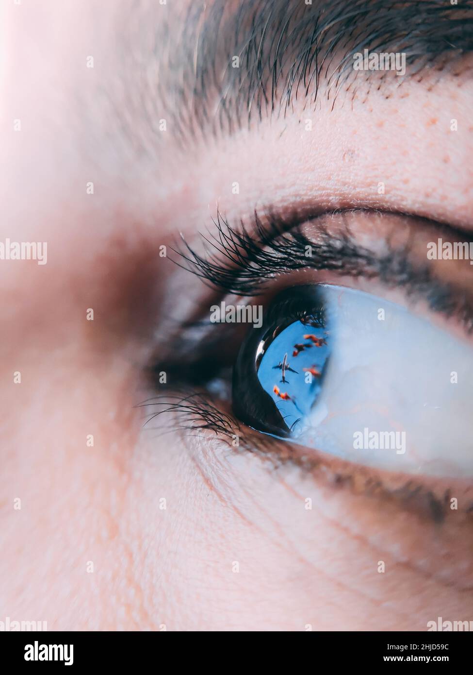 Macro of an eye with the reflection of flying planes Stock Photo - Alamy