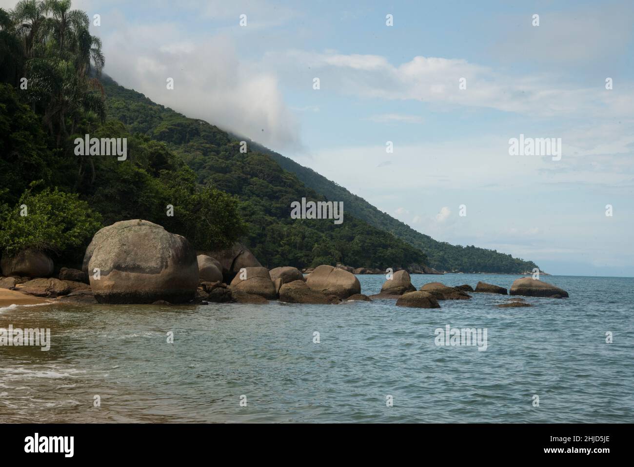 Brazilian stone beach, rainforest background Stock Photo - Alamy