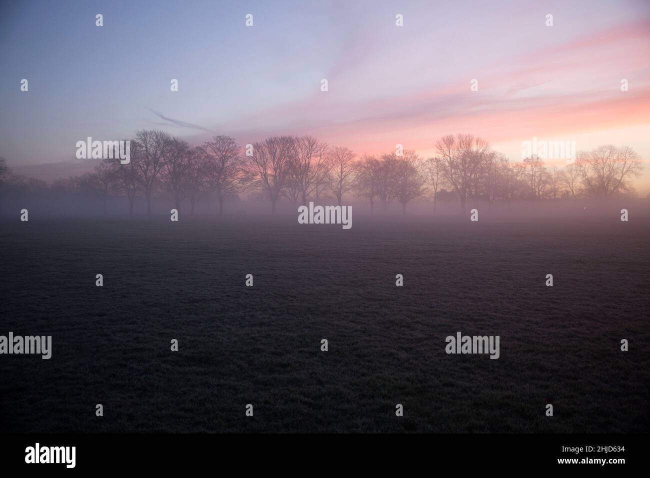 A sunrise glow is seen in a mist-covered park in Ilford, East London ...