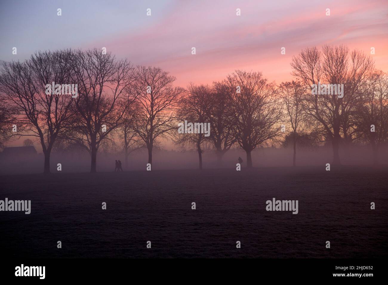 A sunrise glow is seen in a mist-covered park in Ilford, East London ...