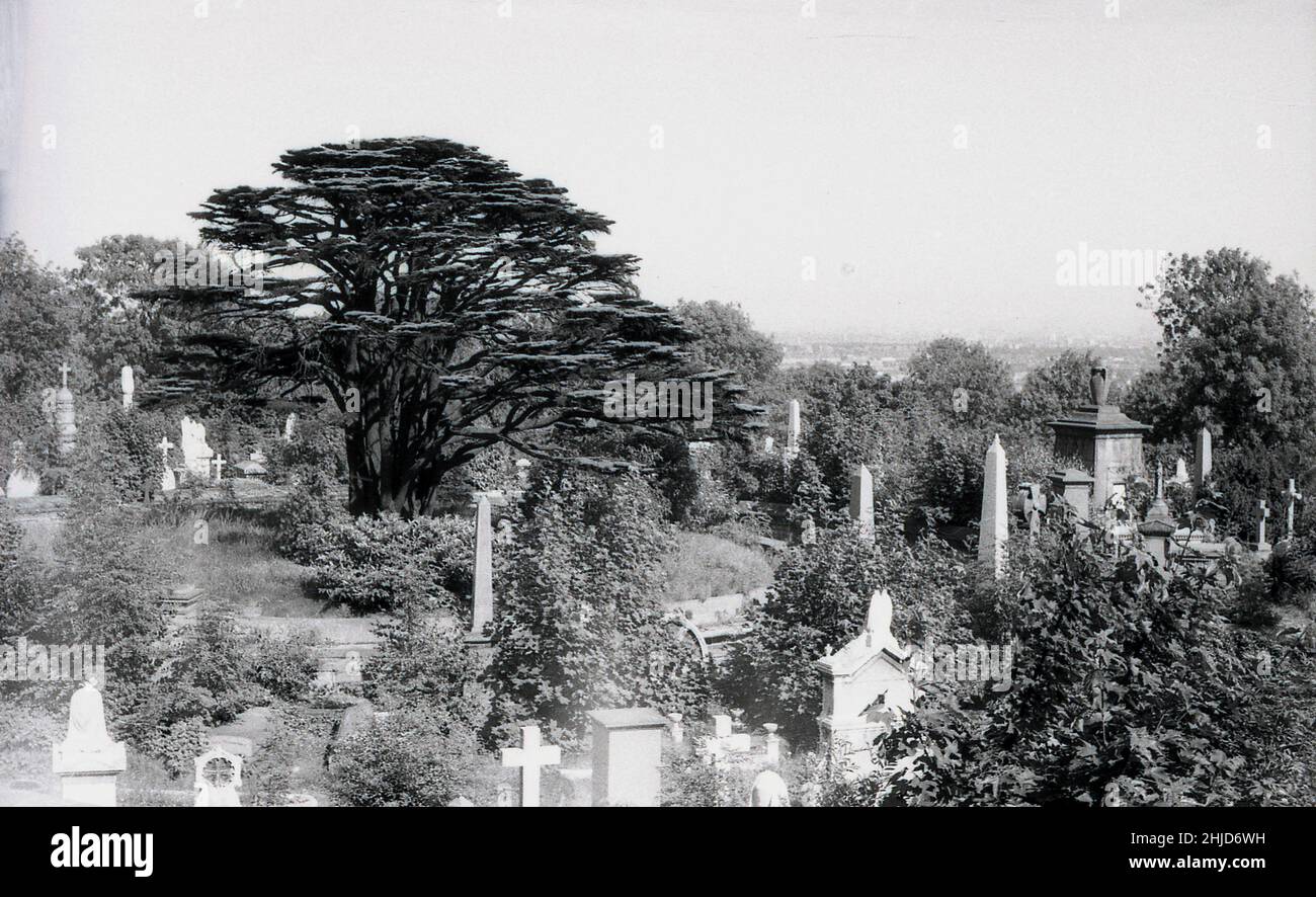 1960s, summertime, on a hillside, an old cemetery or graveyard, Austria ...