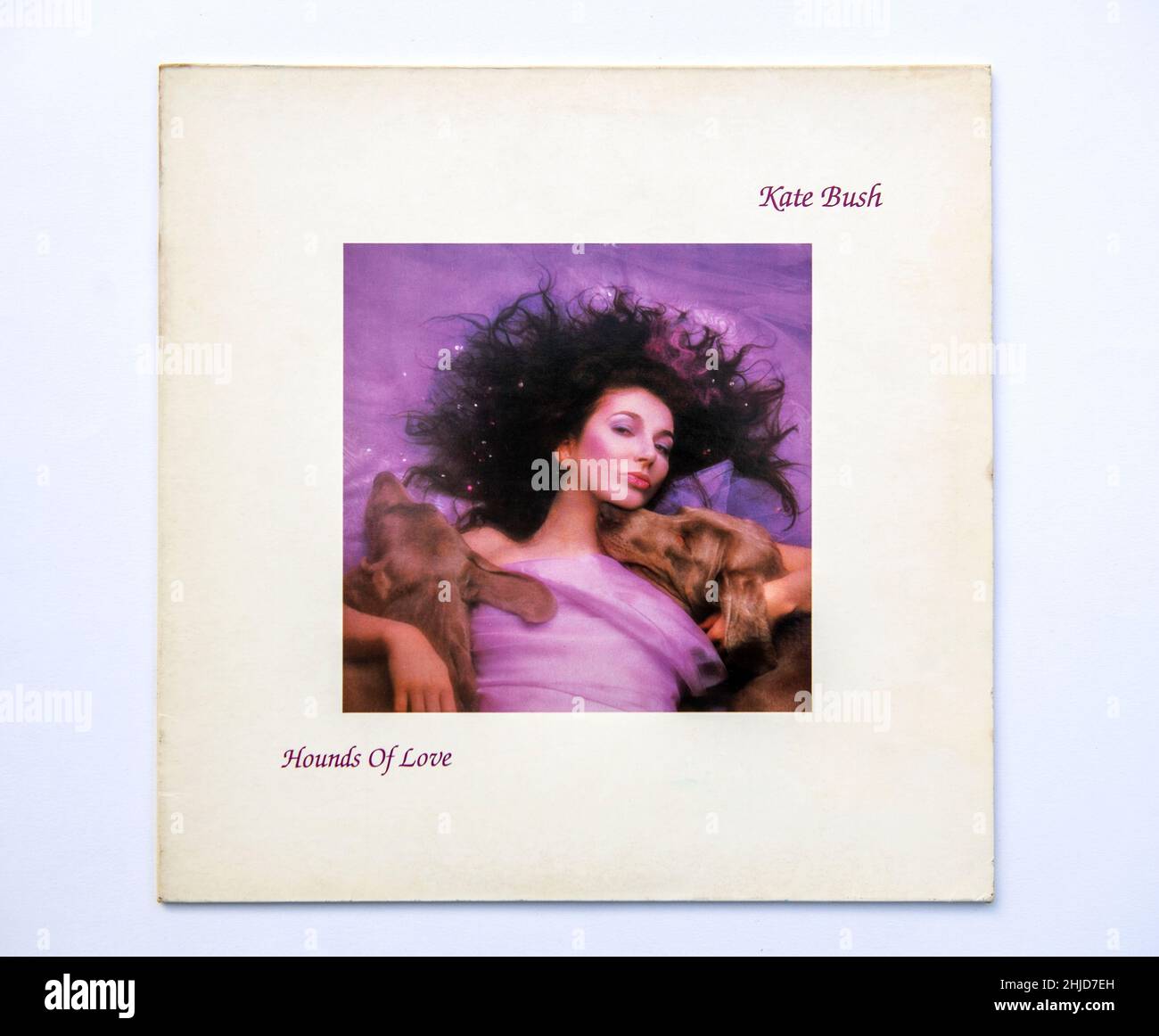 LP cover of Hounds of Love, the fifth studio album by British singer ...