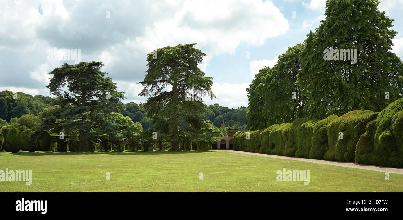 Garden in Montacute House showing unusual wavy hedges Stock Photo - Alamy