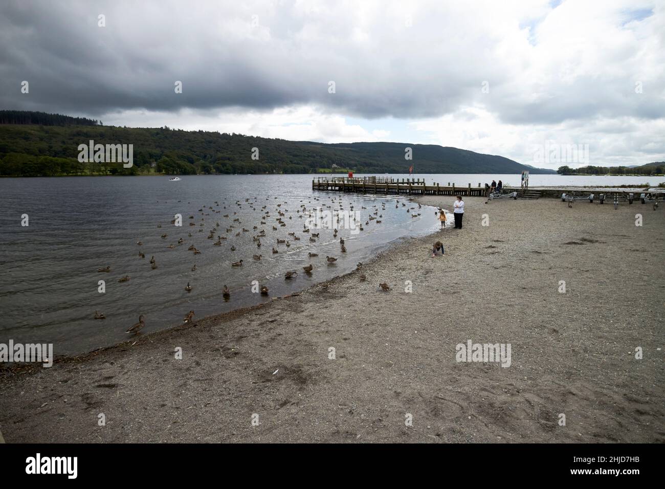 coniston ferry landing beach on coniston water lake district, cumbria ...
