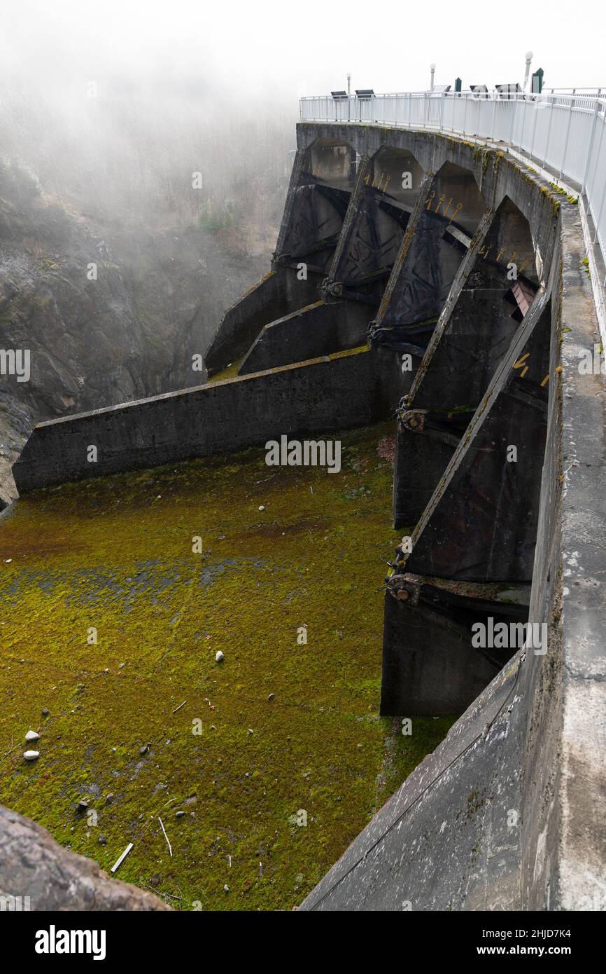 A bed of moss covers the spillway of the Glines Canyon Dam on the Elwha ...