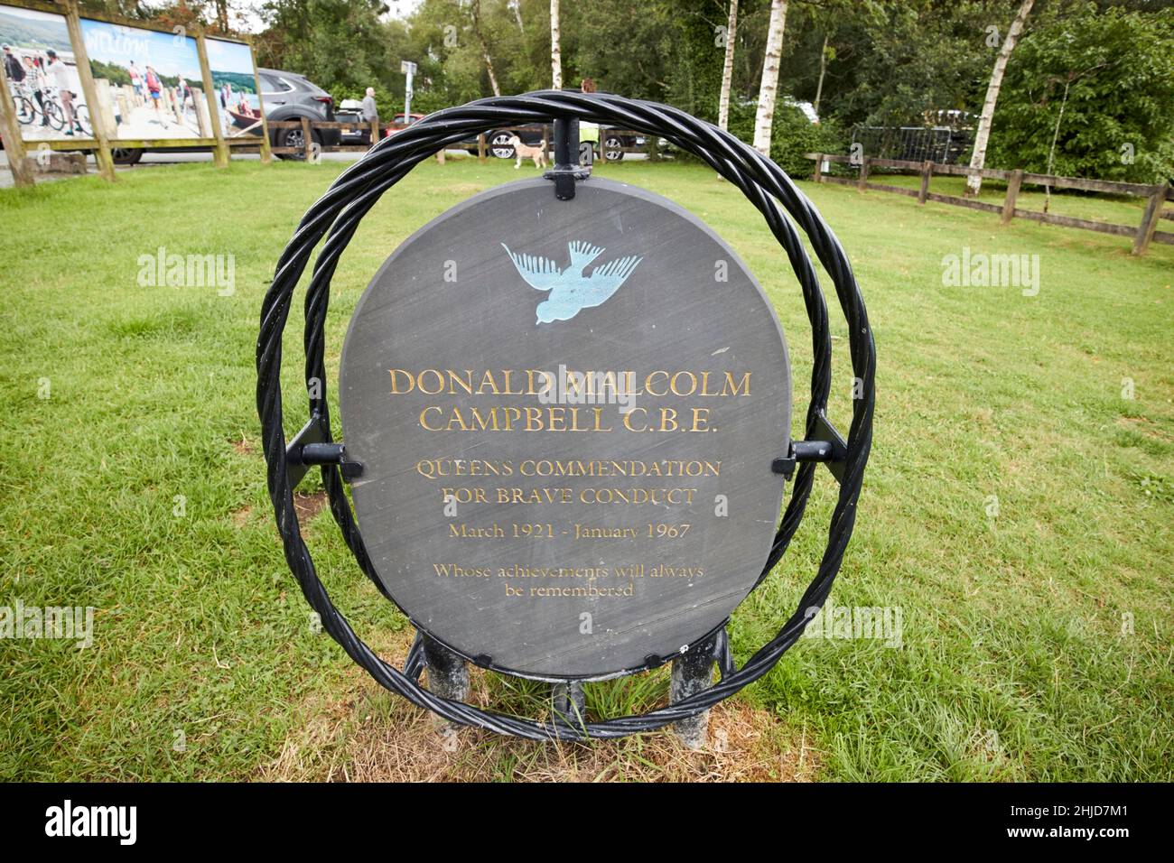donald campbell bluebird queens commendation for brave conduct plaque ...