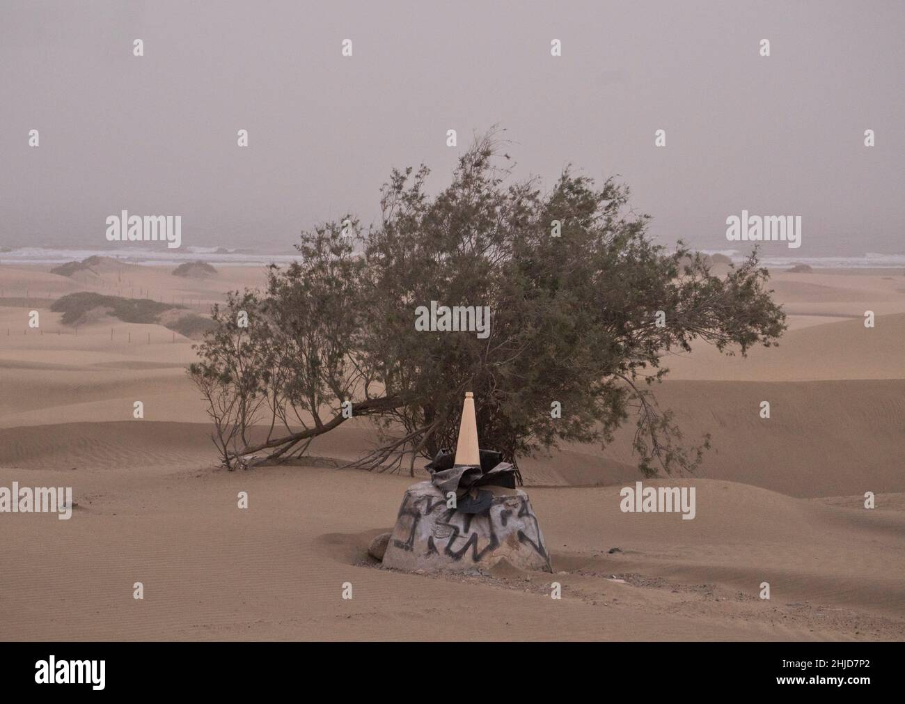 Strong 'Calima' wind from the African coast affecting Playa de los ...