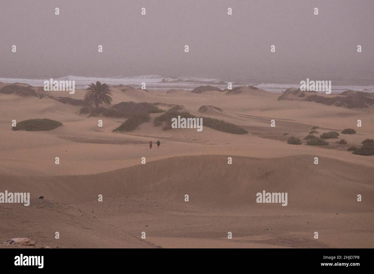 Strong african wind hi-res stock photography and images - Alamy