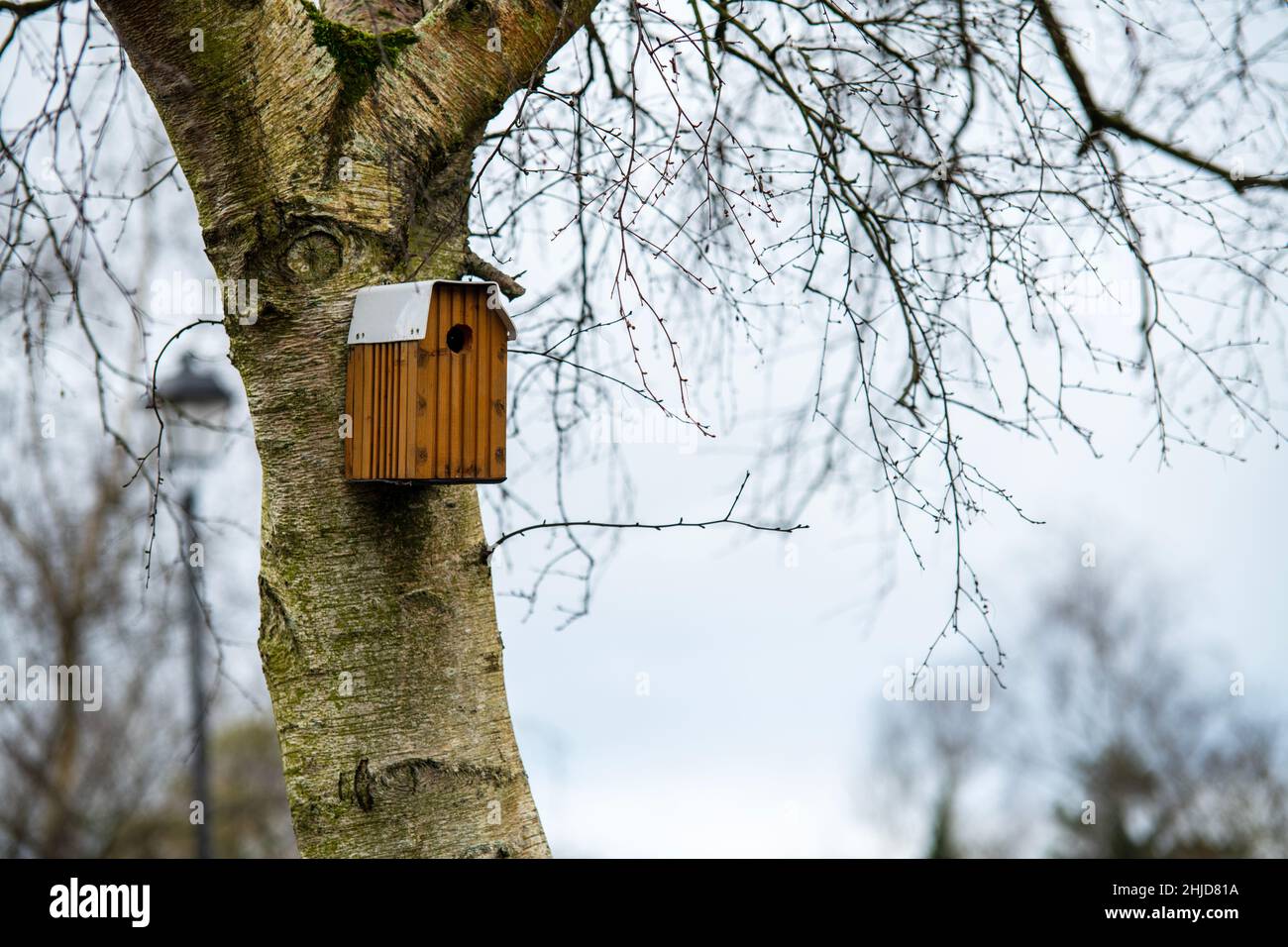 Suspended tree home hi-res stock photography and images - Alamy