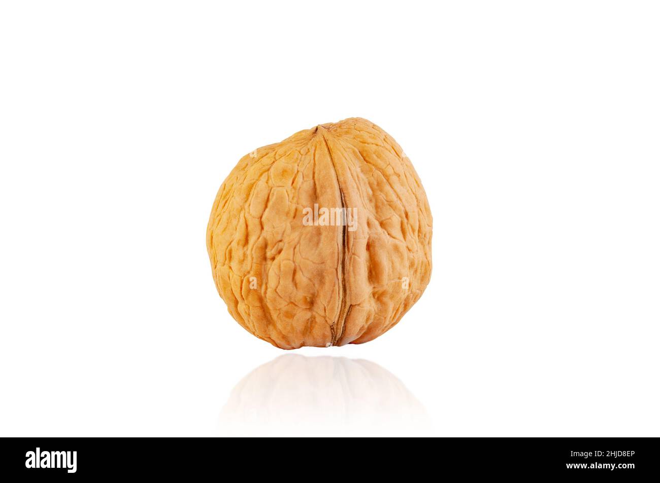 fresh walnut close-up isolated on white background Stock Photo - Alamy