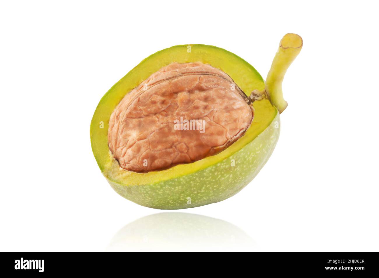 fresh walnut in green peel close-up isolated on white background Stock ...