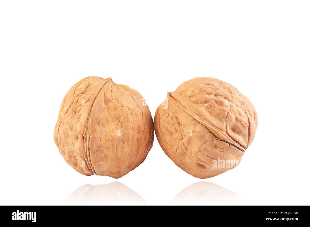two walnuts close-up isolated on white background Stock Photo - Alamy
