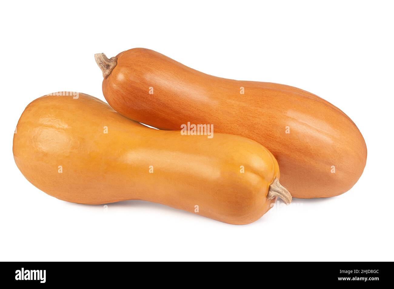 two butternut pumpkins isolated on white background Stock Photo - Alamy