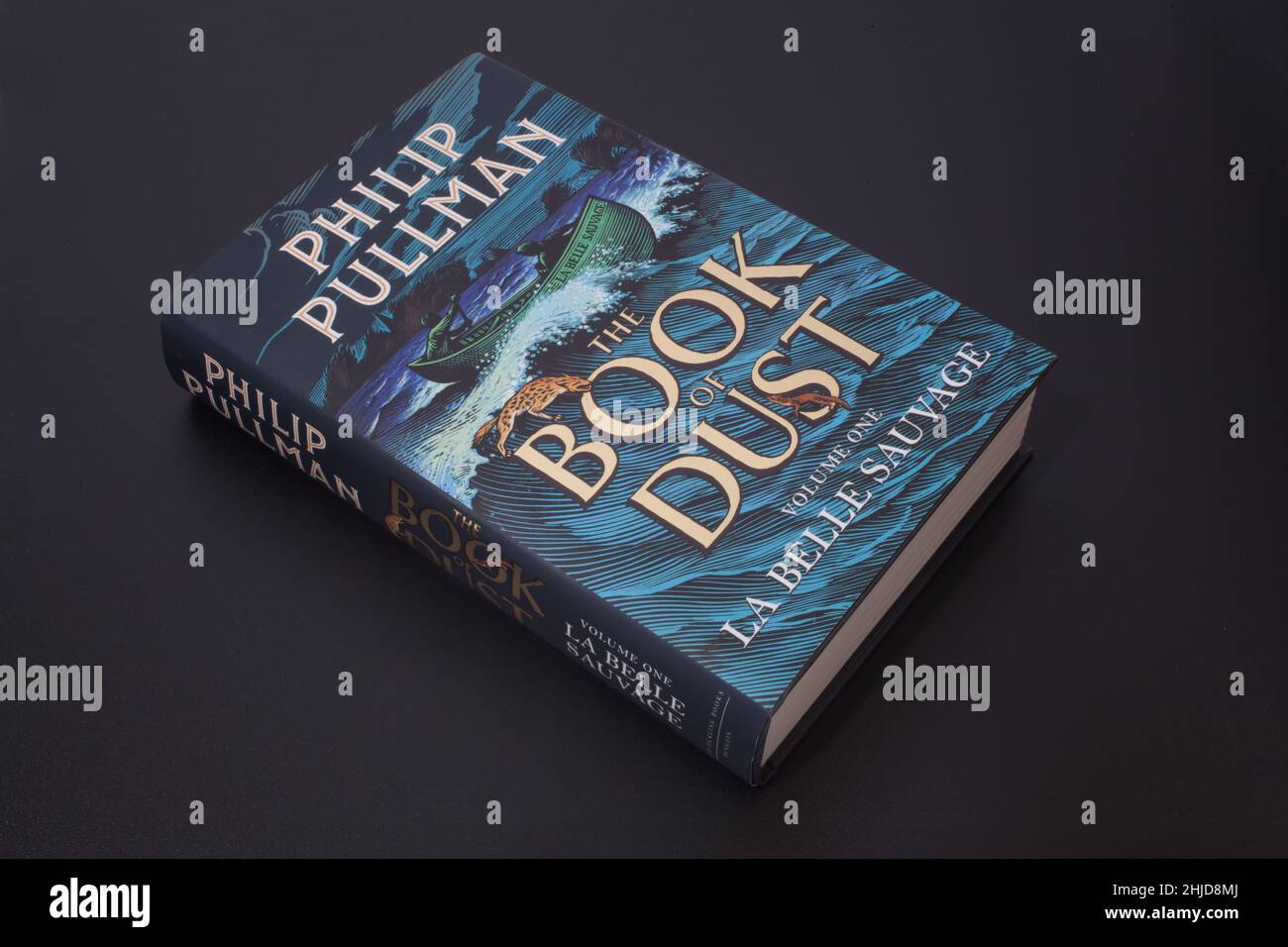 Book dust cover hi-res stock photography and images - Alamy