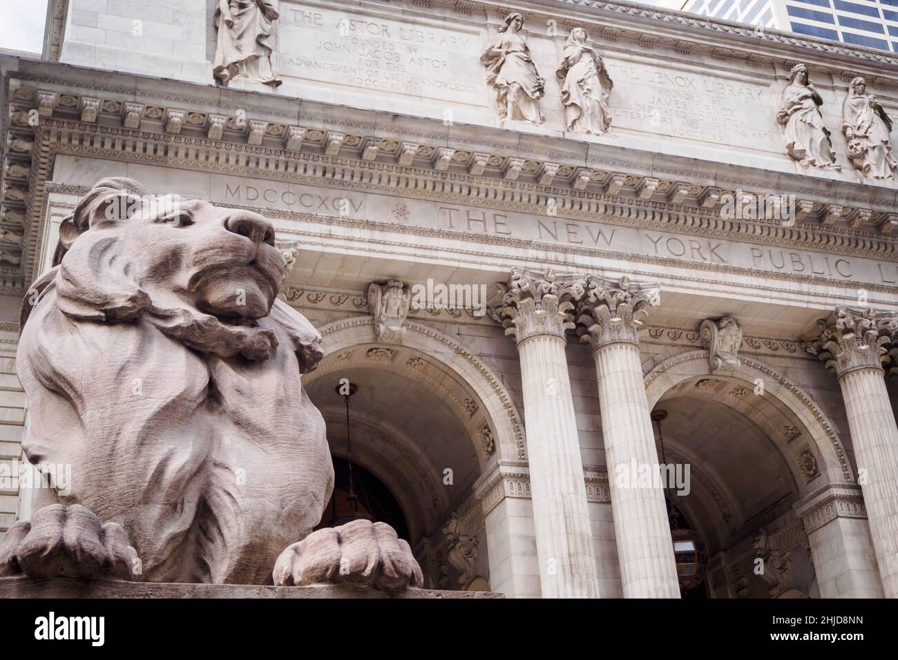 Public library reading lion hi-res stock photography and images - Alamy
