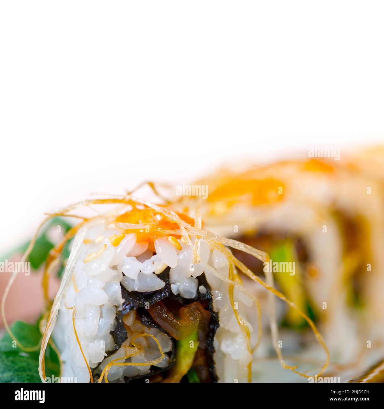 macro closeup of fresh sushi choice combination assortment selection ...