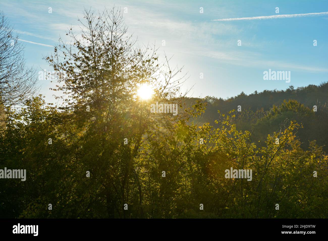 Sunrise over the trees hi-res stock photography and images - Alamy