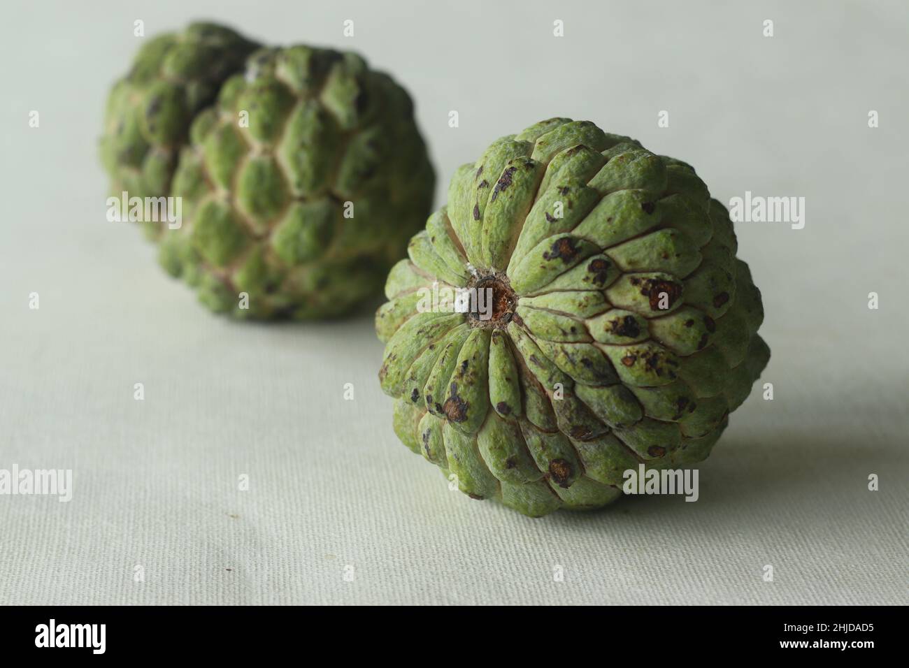 Custard apple. A Cherimoya family fruit with green and leathery skin ...