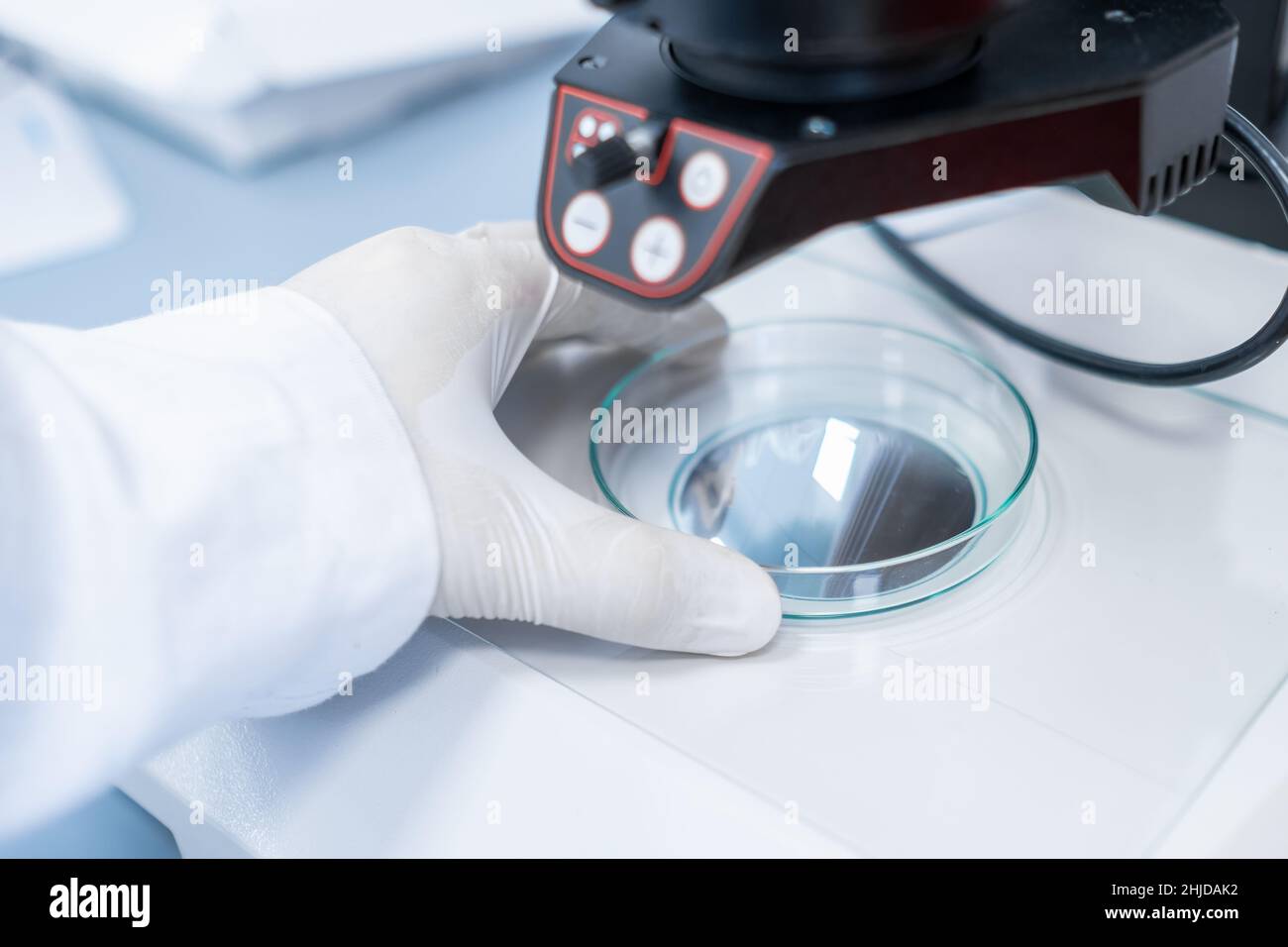 Scientist examining sample in Petri dish with a microscope. Modern ...