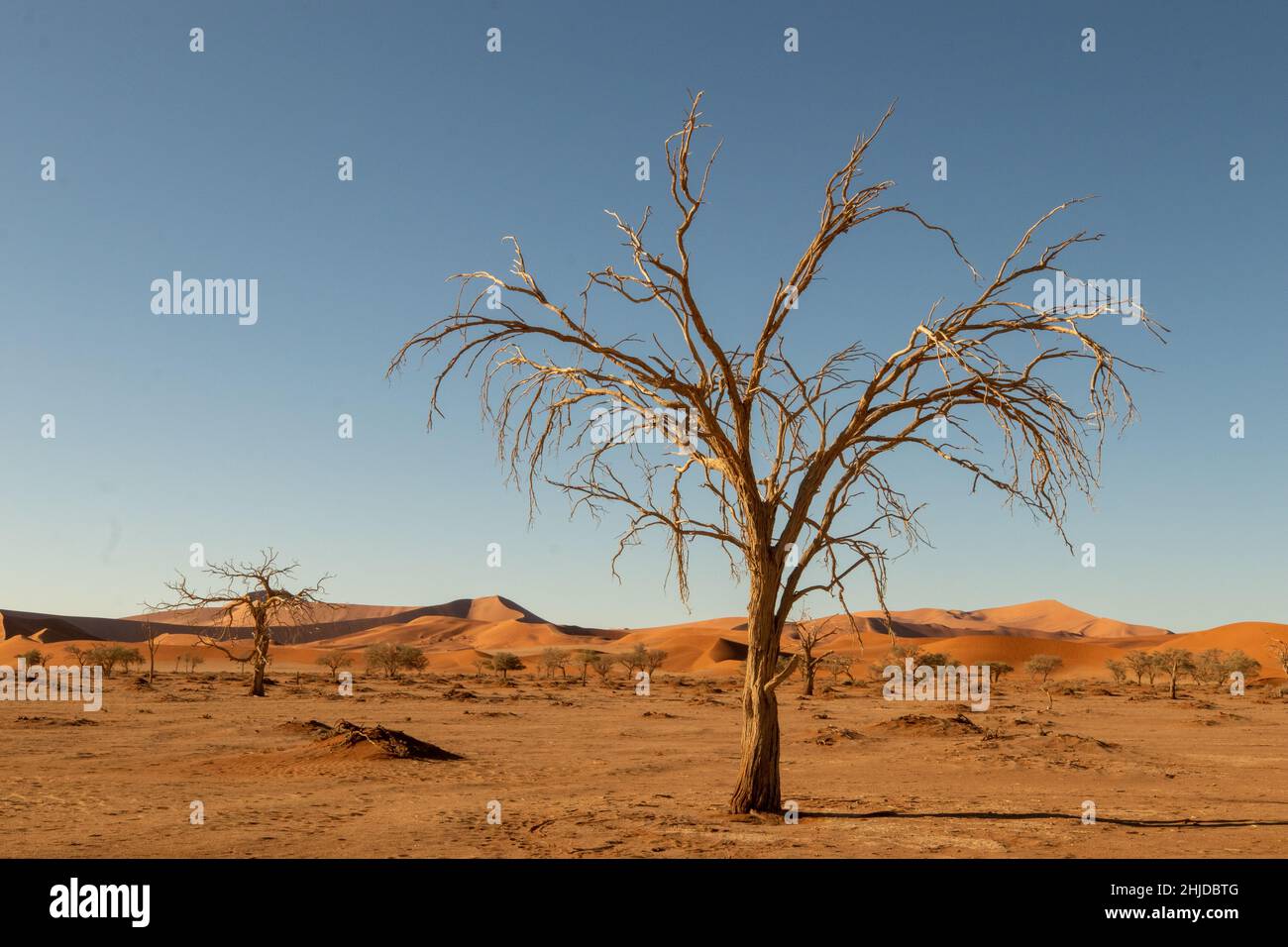 Vlei area hi-res stock photography and images - Alamy