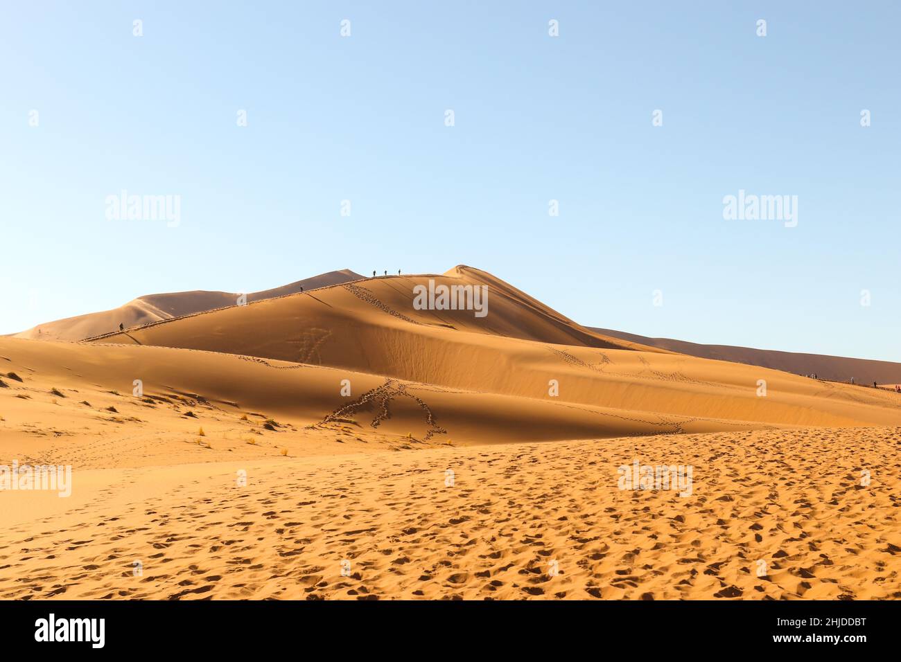 Big Daddy Dune, Sossusvlei, Namibia Stock Photo - Alamy