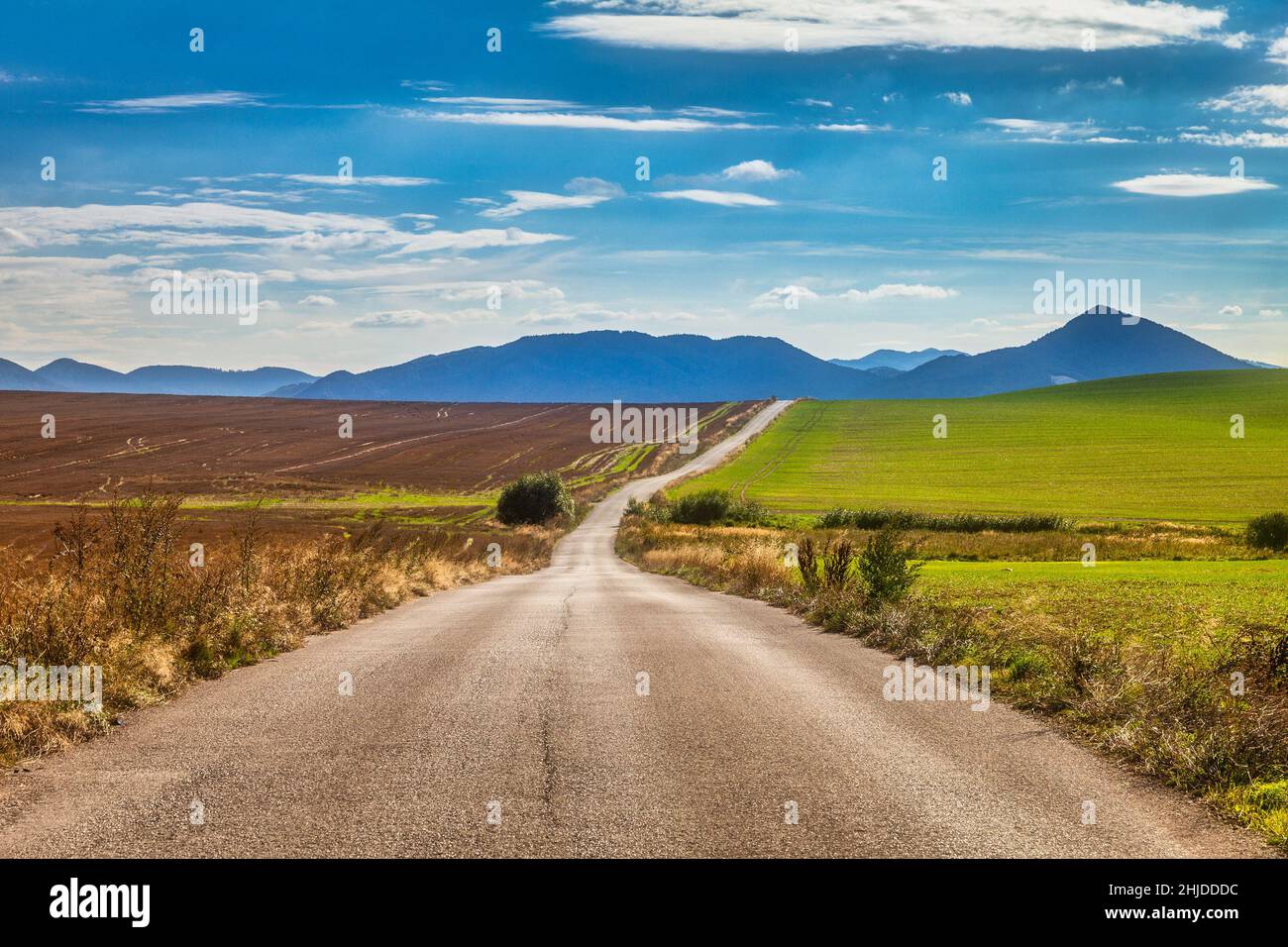 Road around fields through rural landscape in sunny summer day. Rajec ...