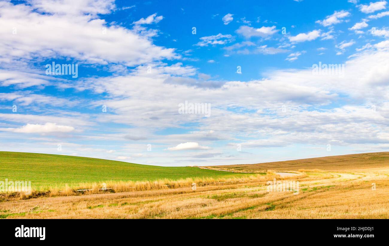 Country Field Backgrounds