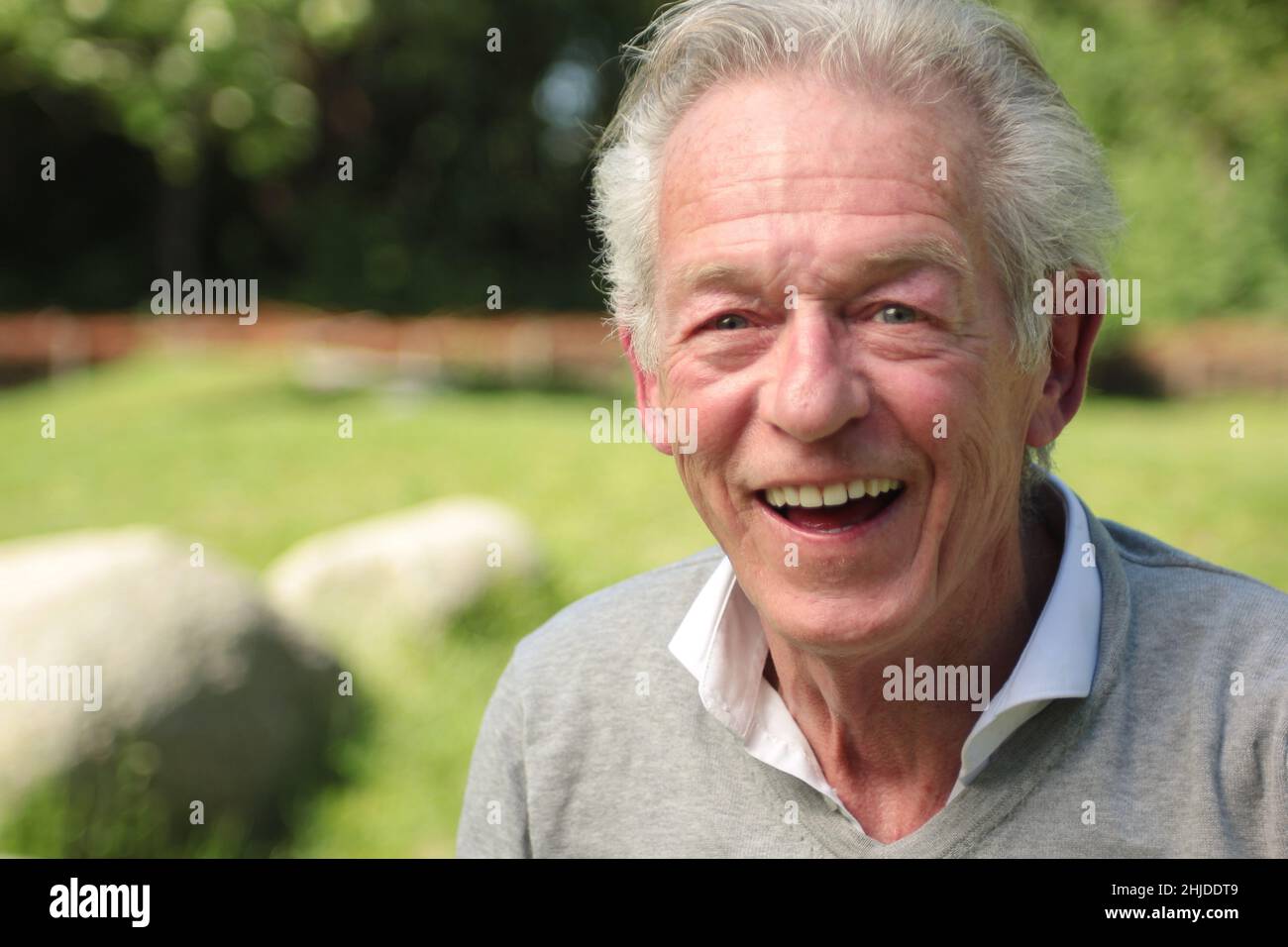 Distinguished older man standing hi-res stock photography and images ...