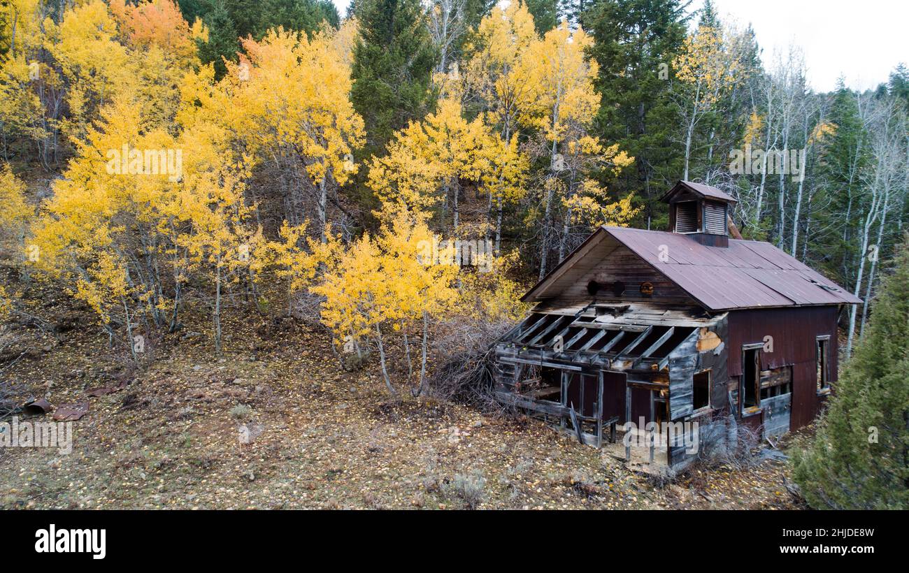 Out of repair house in the woods Stock Photo - Alamy
