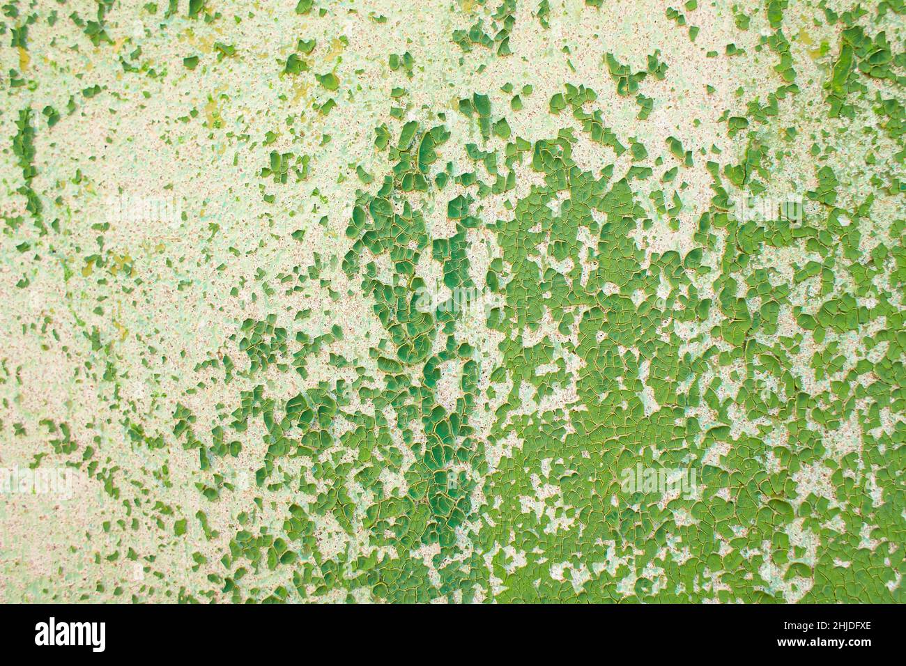 Grunge wall colored green background texture in rainbow style Stock ...