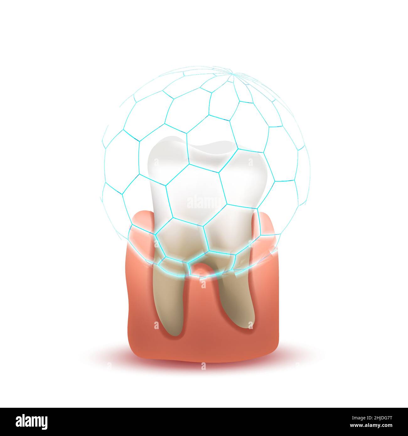 Realistic human tooth in pink gum with blue protective shield on white ...