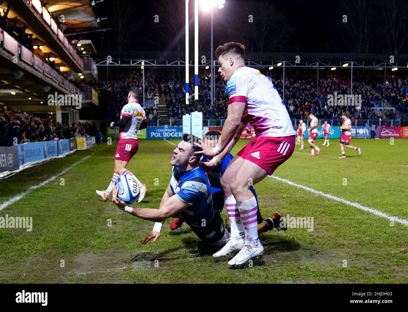Bath Rugby's Will Muir celebrates scoring their side's first try of the ...